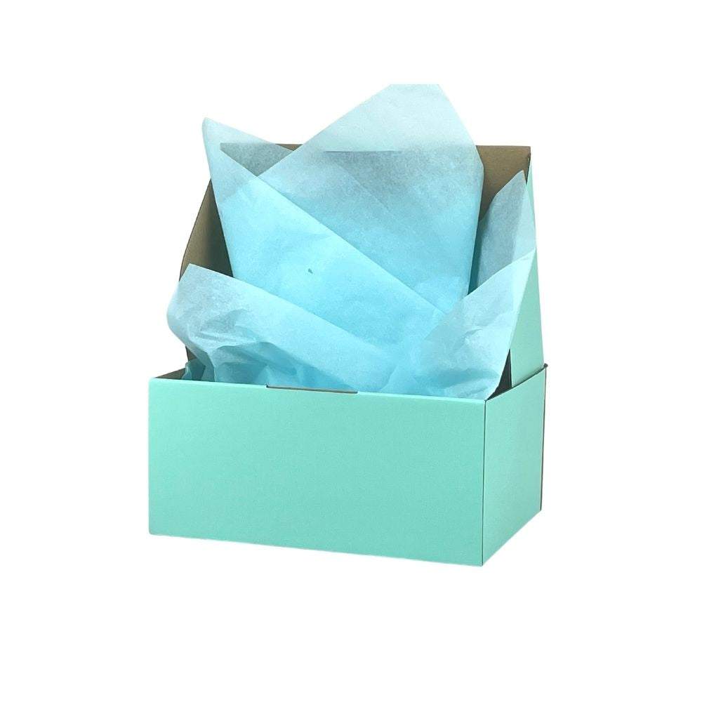 Mint Blue Mailing Box B347 220 x 160 x 100mm